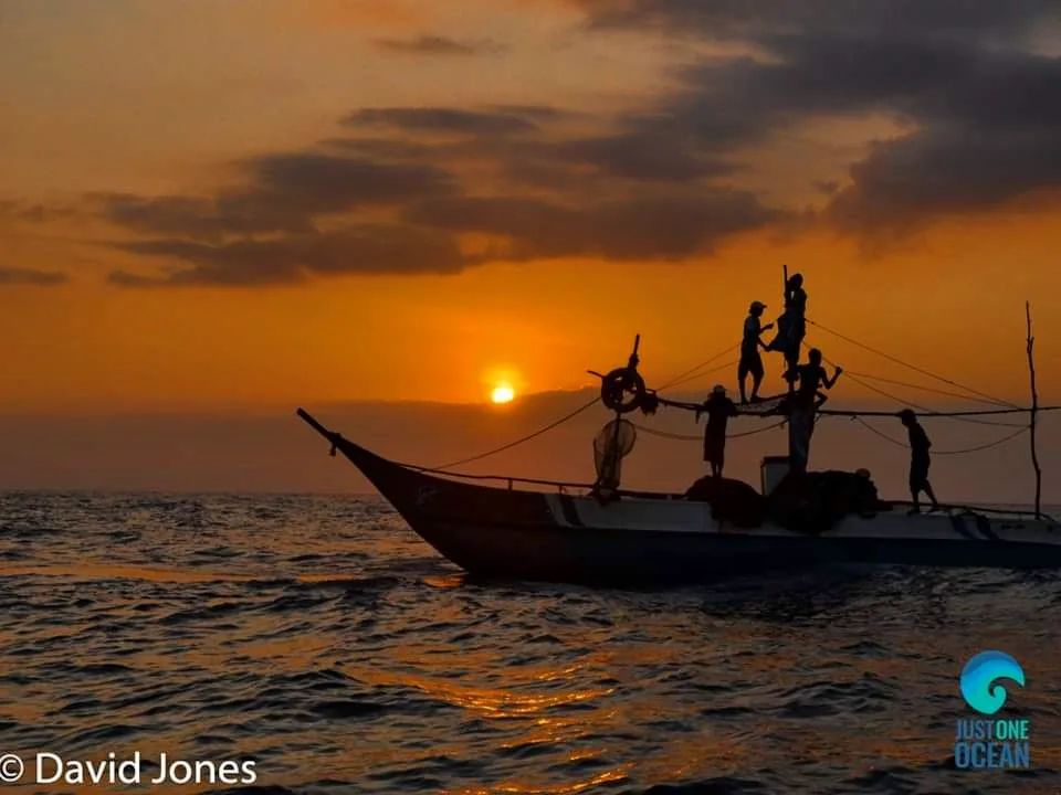 Research – Just One Ocean