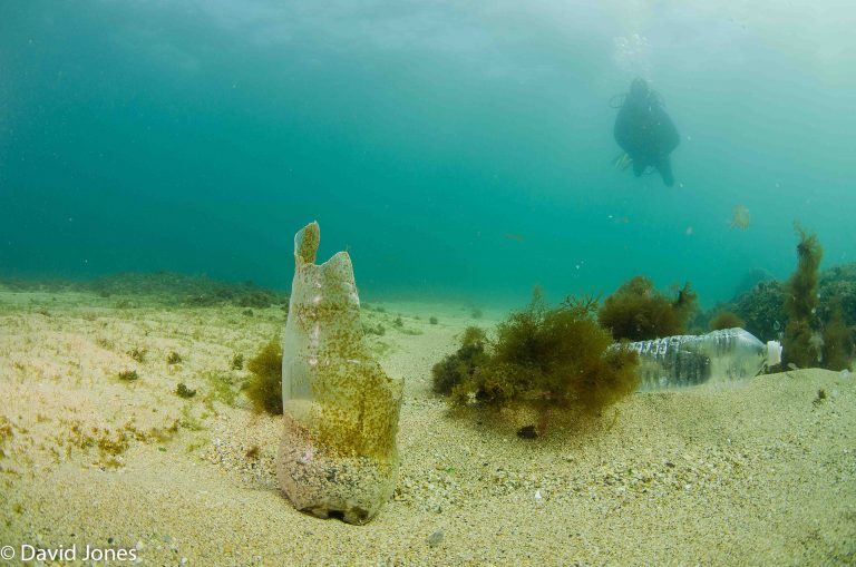 Ocean Issues – Just One Ocean