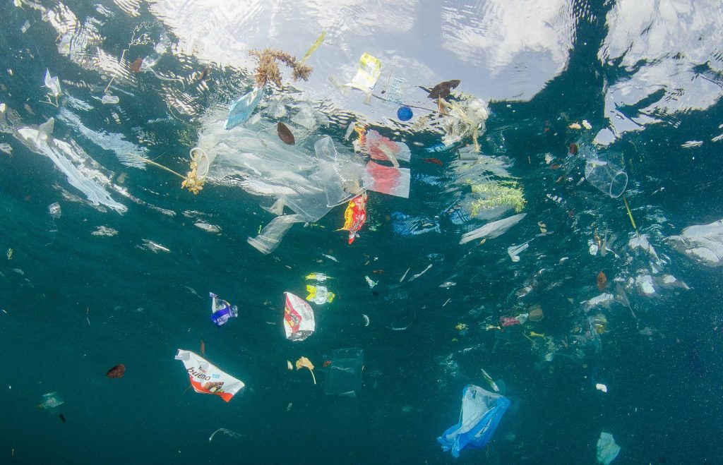 The Big Ocean Pollution Survey – Just One Ocean