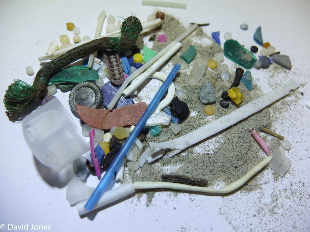 Microplastic sample – Just One Ocean