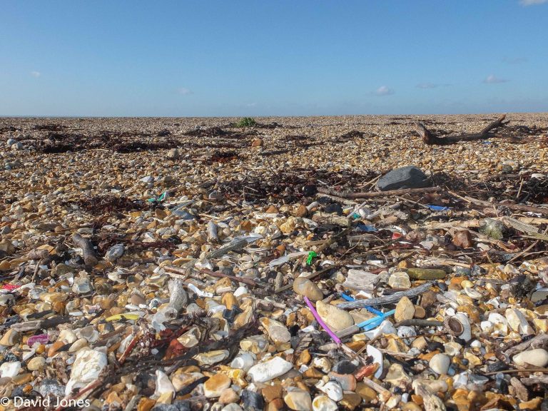 Microplastics on the beach – Just One Ocean