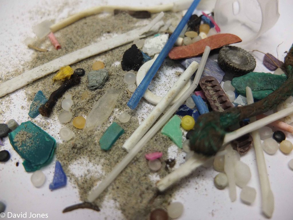 Primary and Secondary microplastics – Just One Ocean