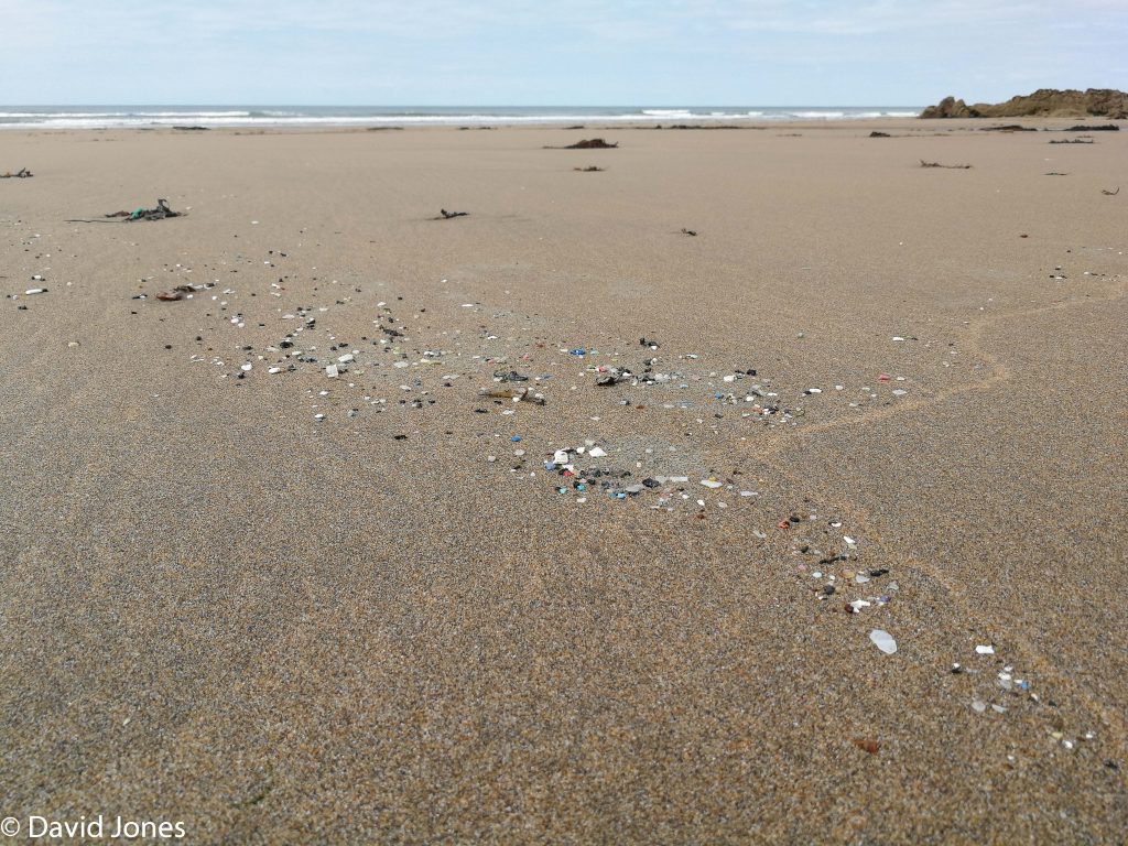 Linking Coastal Sediments to Microplastic Pathways - Just One Ocean