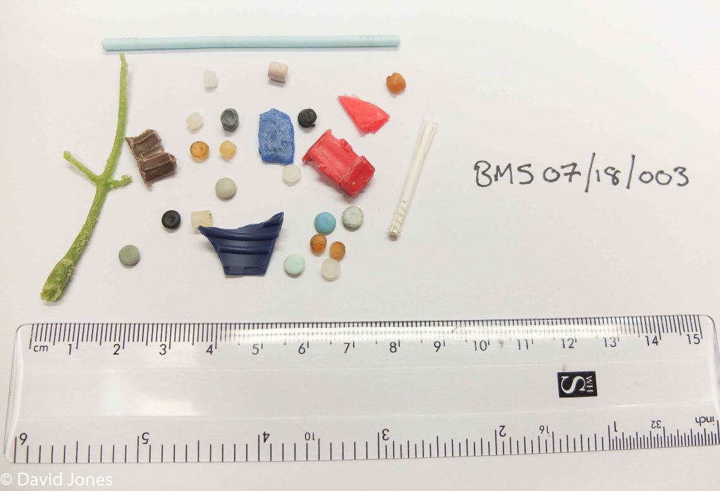 photographing samples – Just One Ocean