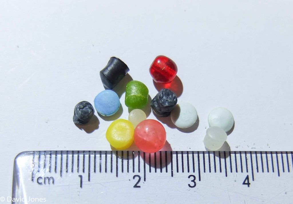 primary microplastics – Just One Ocean