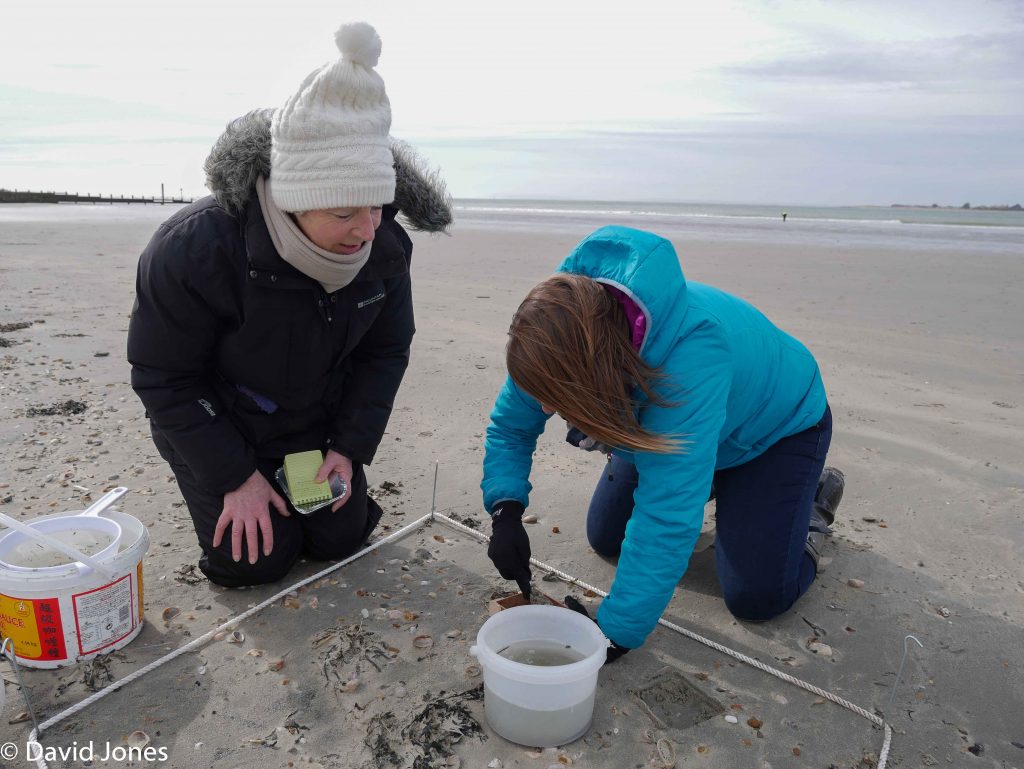 Chichester Harbour Microplastic Survey – Phase 2 – Just One Ocean