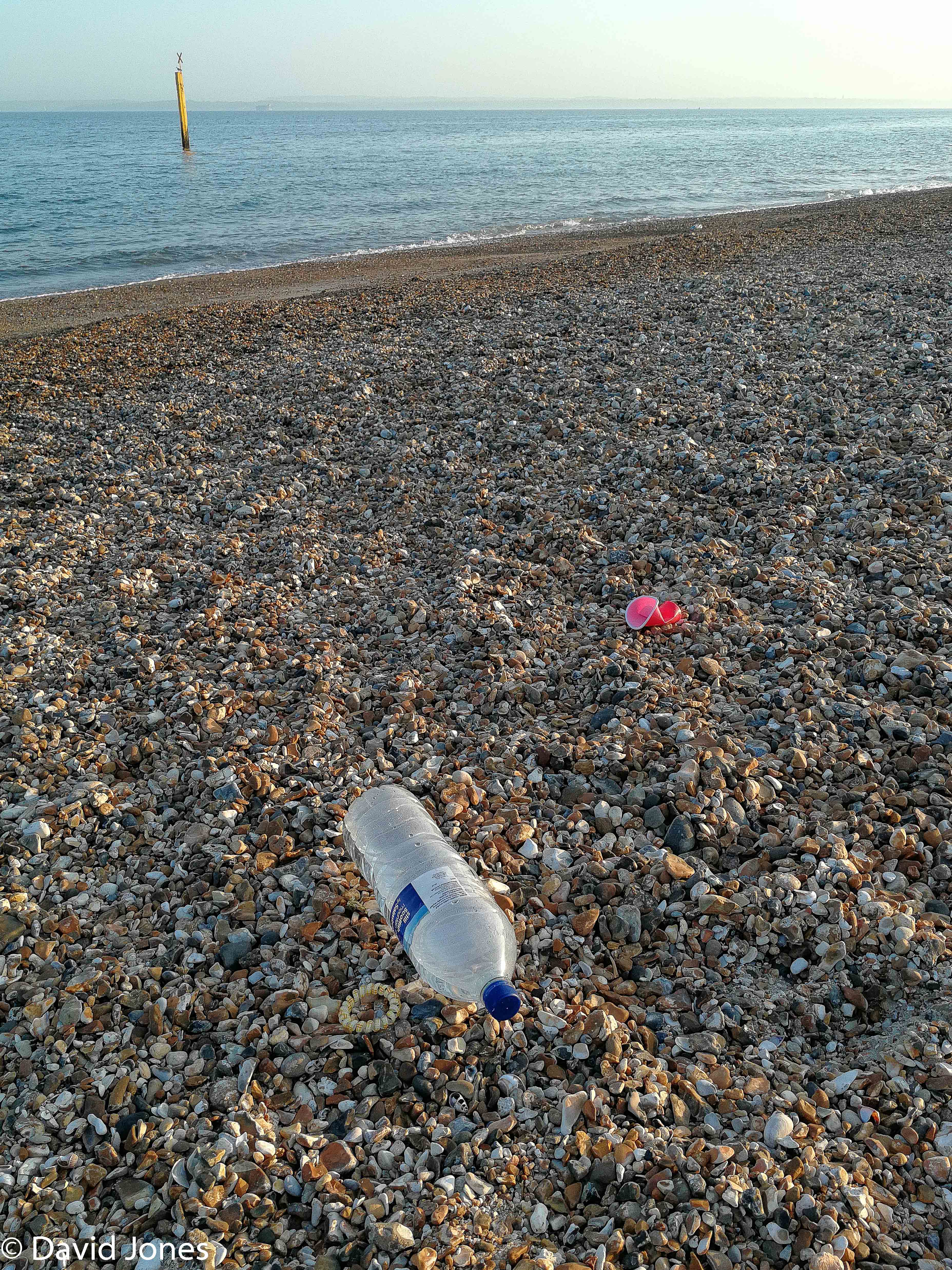 dav – Just One Ocean