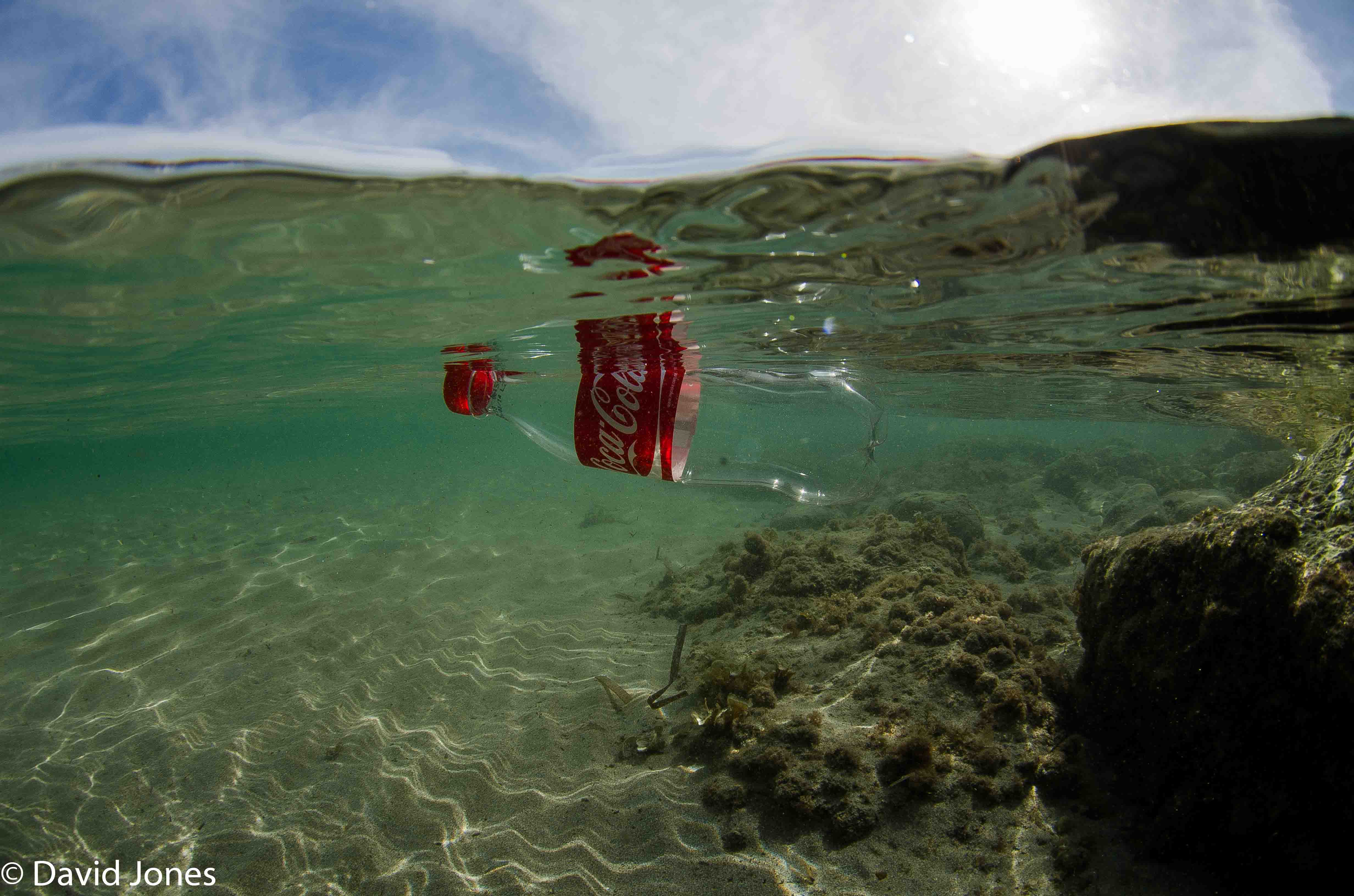 Coke bottle floats in the sea – Just One Ocean