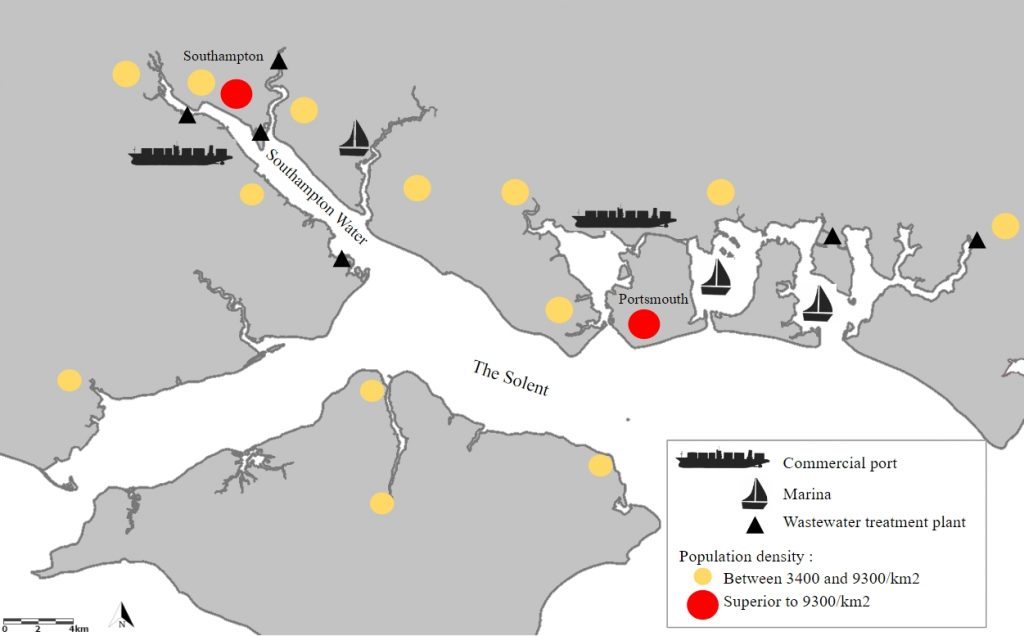 Solent Mussel Research Project – Final Summary – Just One Ocean