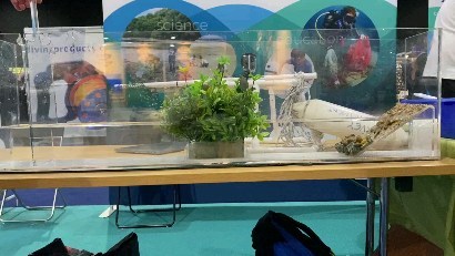 Just One Ocean – Committed to saving the ocean for future generations