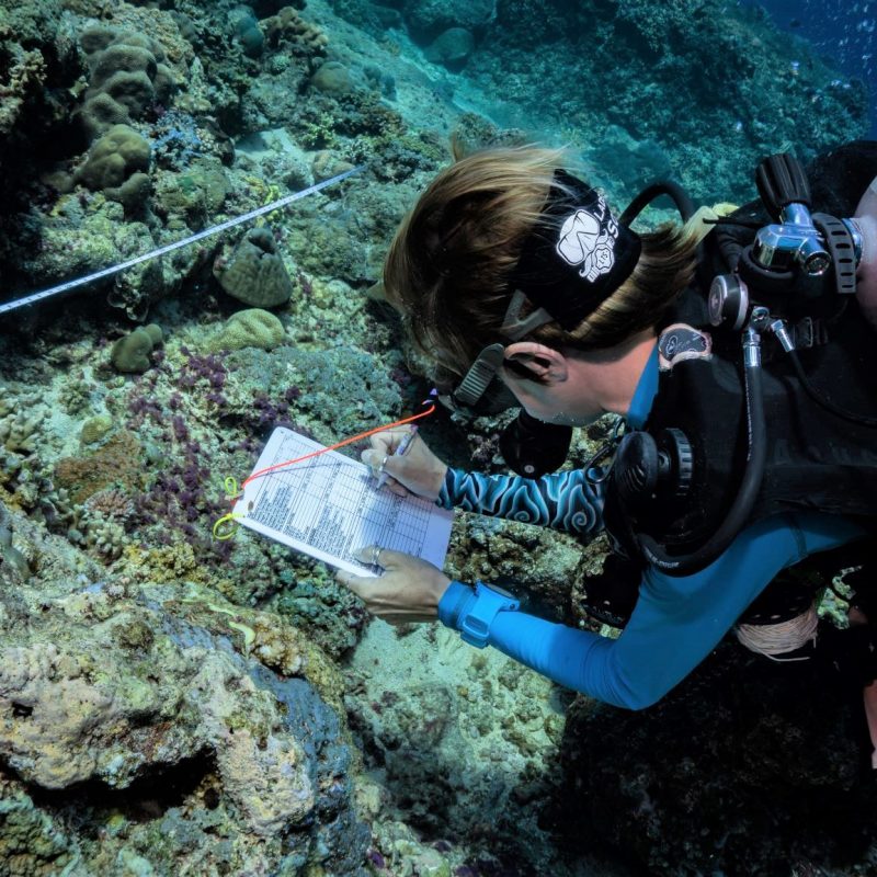 Plastic Health Summit 3 October 2019 Just One Ocean